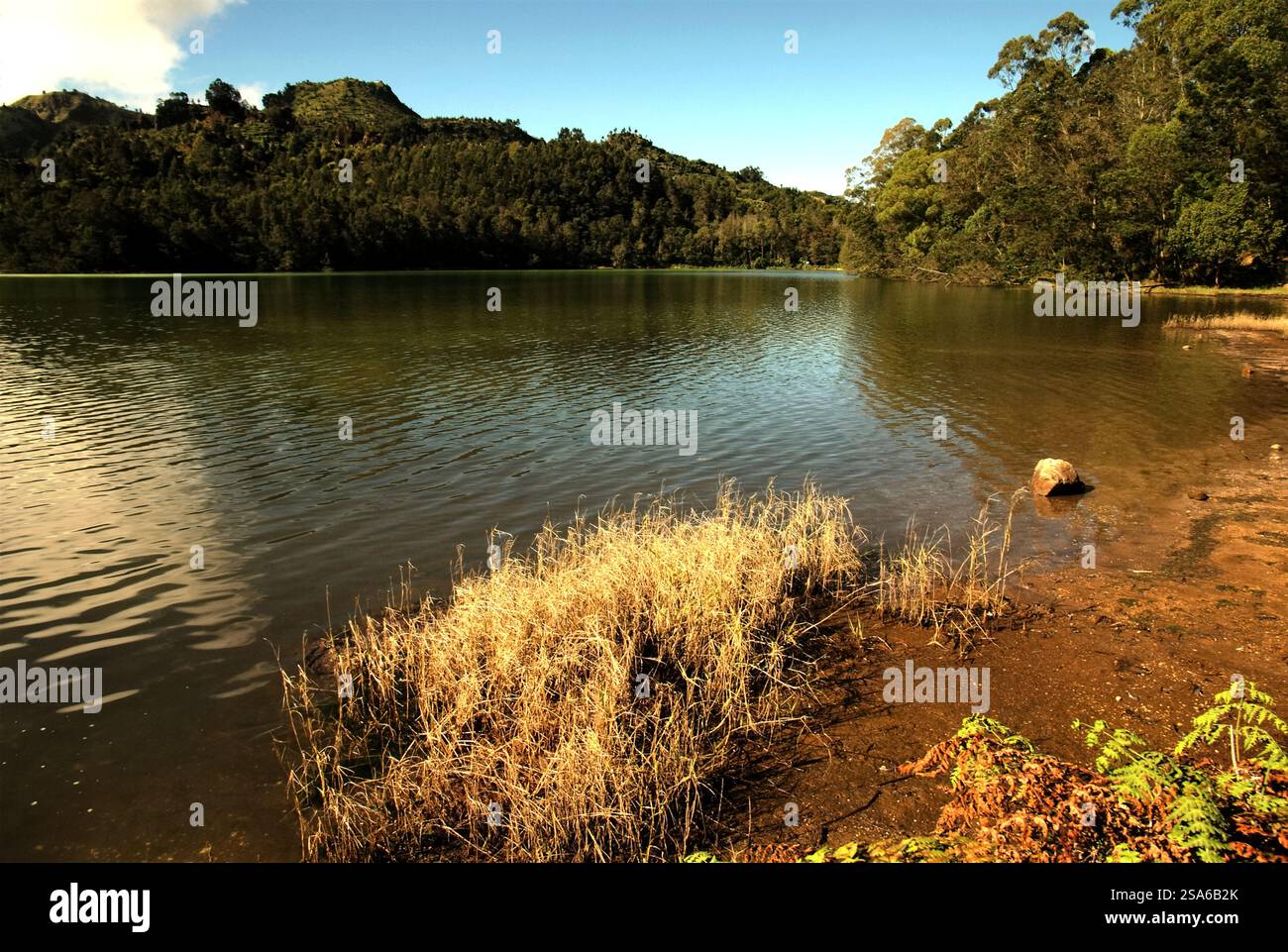 Pengilon lake, a highland freshwater lake on Dieng plateau, which is ...