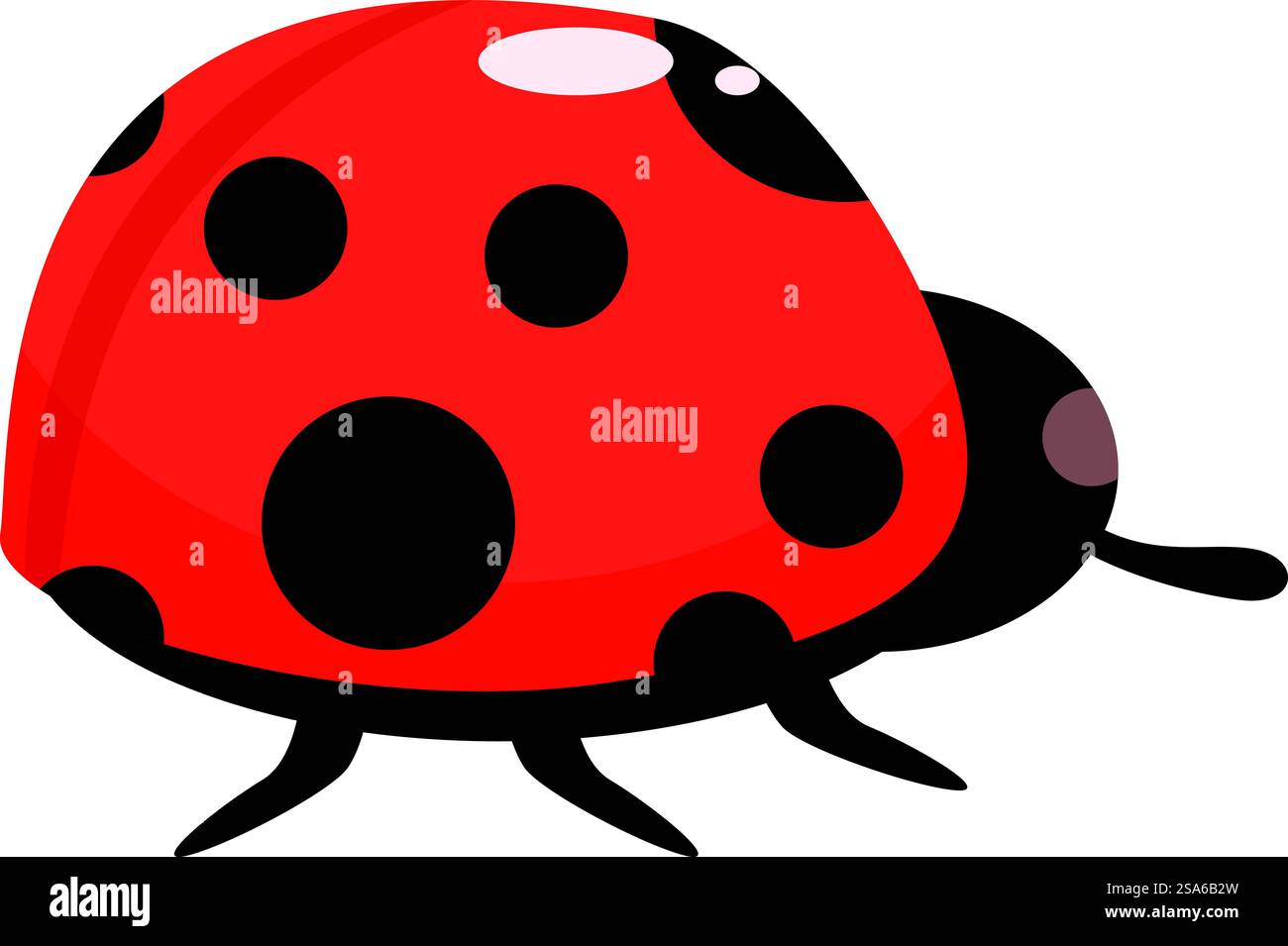 Red ladybug walking with black spots on shell. Red ladybug is walking ...
