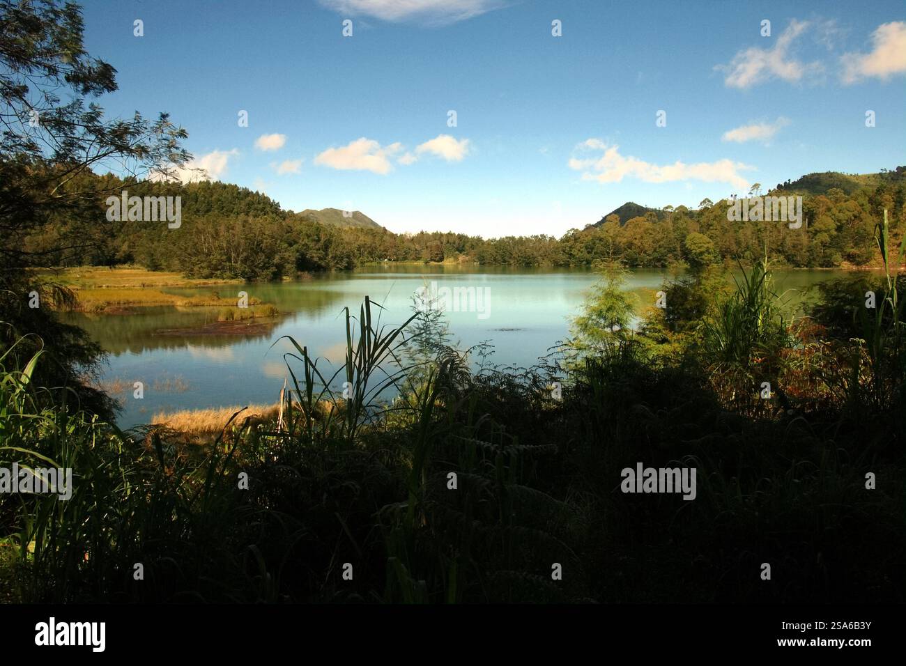 Telaga Warna lake, a sulphuric lake on Dieng plateau, which is ...