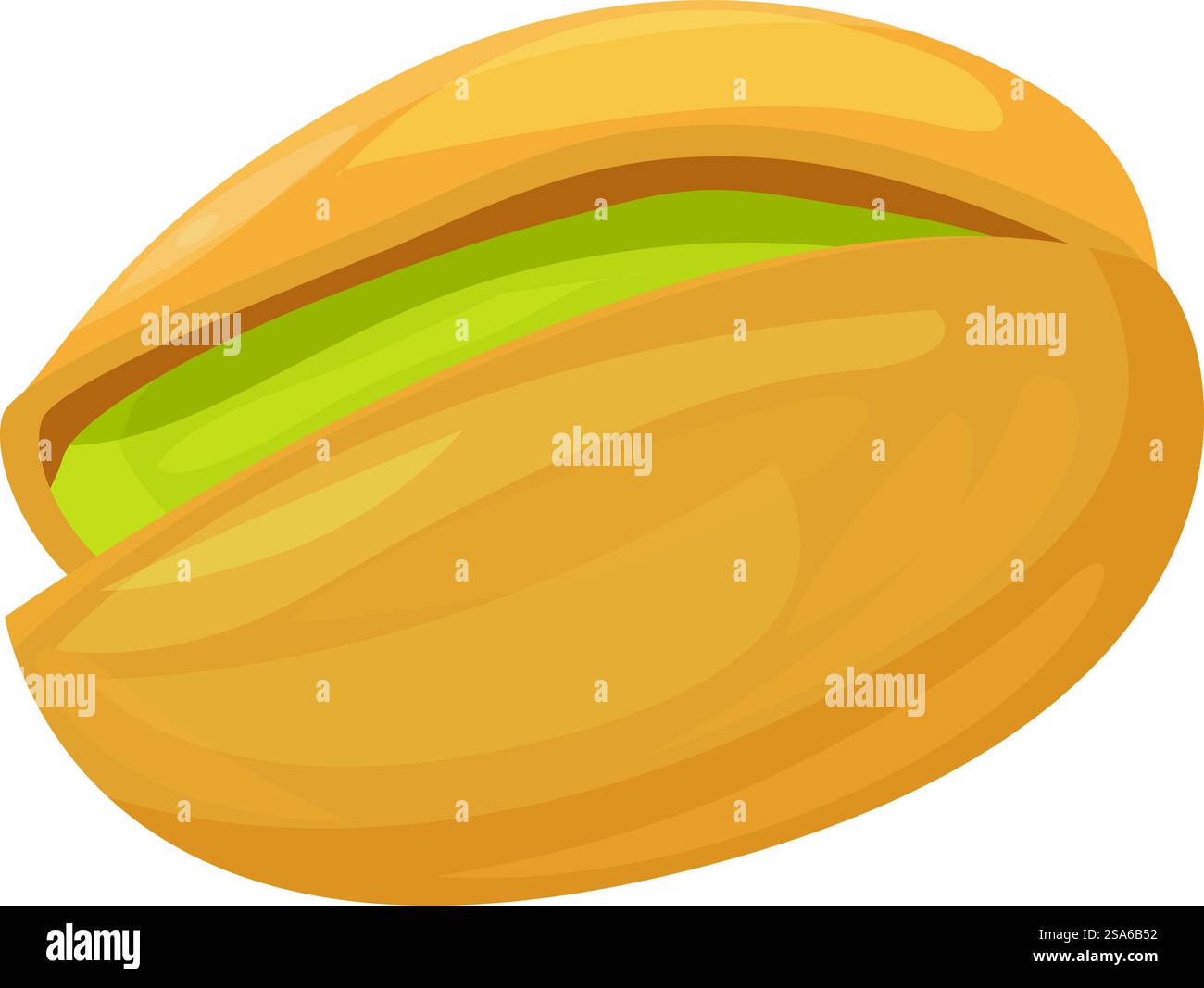Single pistachio nut is shown with the shell open revealing the seed ...