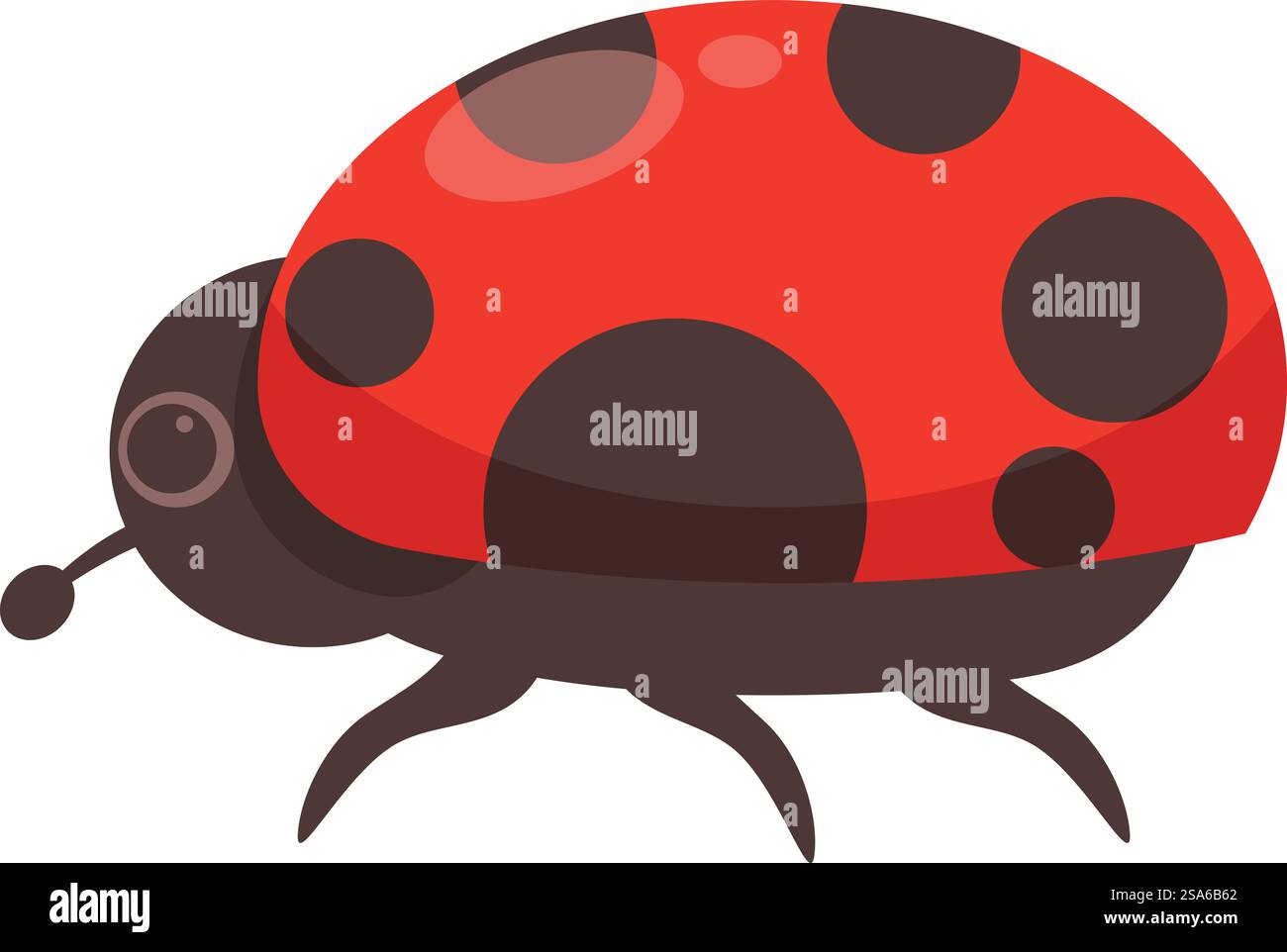 Red ladybug with black spots on shell is walking to the left. Red ...