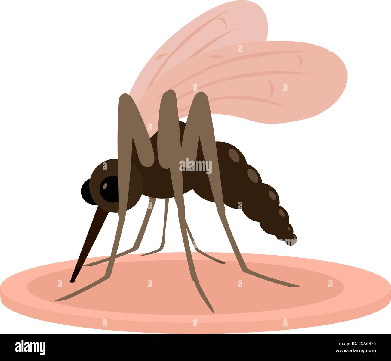 Mosquito landing on skin drinking blood spreading disease. Mosquito is ...