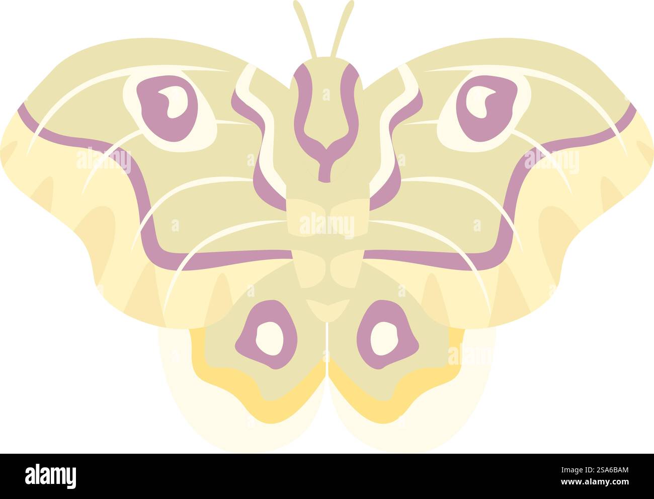 Giant silk moth illustration featuring pastel colors on a white ...