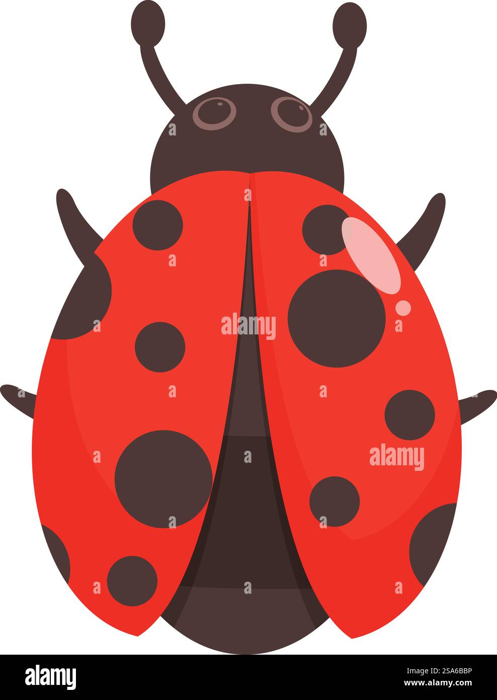 Simple cartoon ladybug illustration, a colorful beetle standing with ...