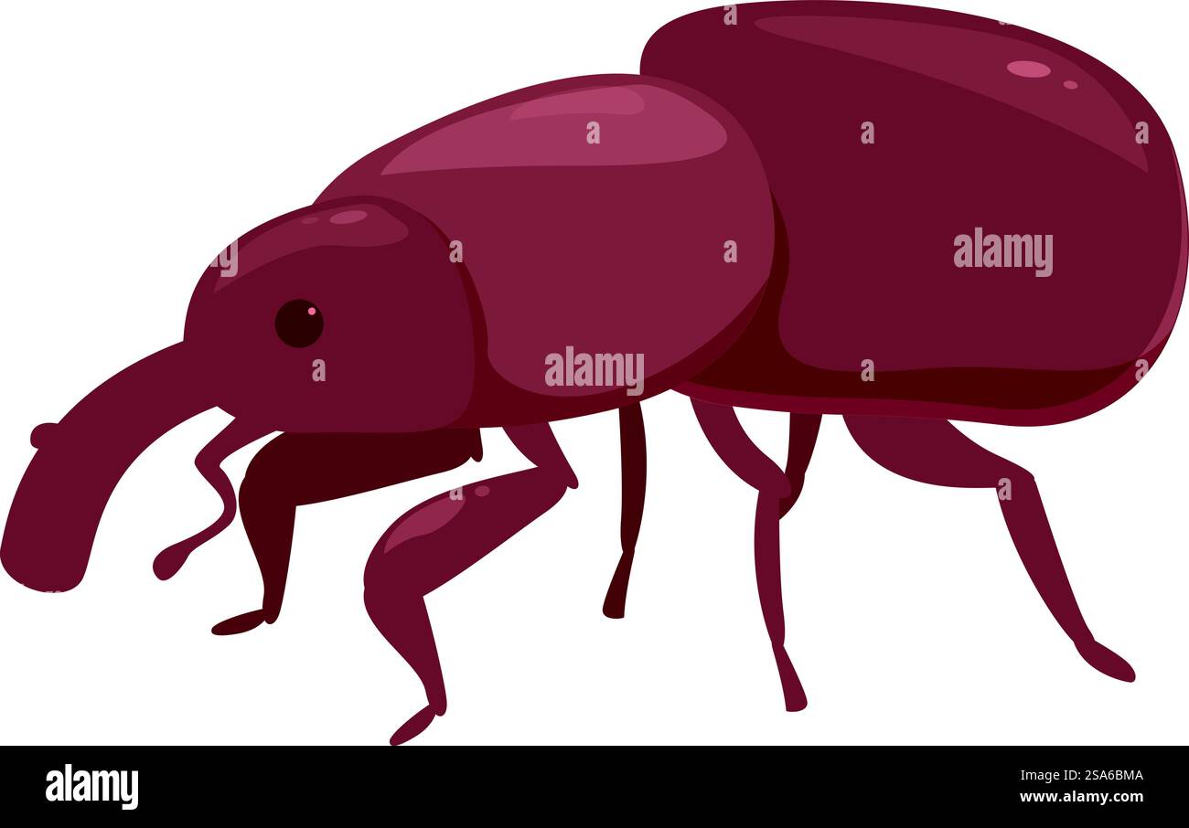 Red weevil walking side view showing head thorax abdomen and legs. Red ...