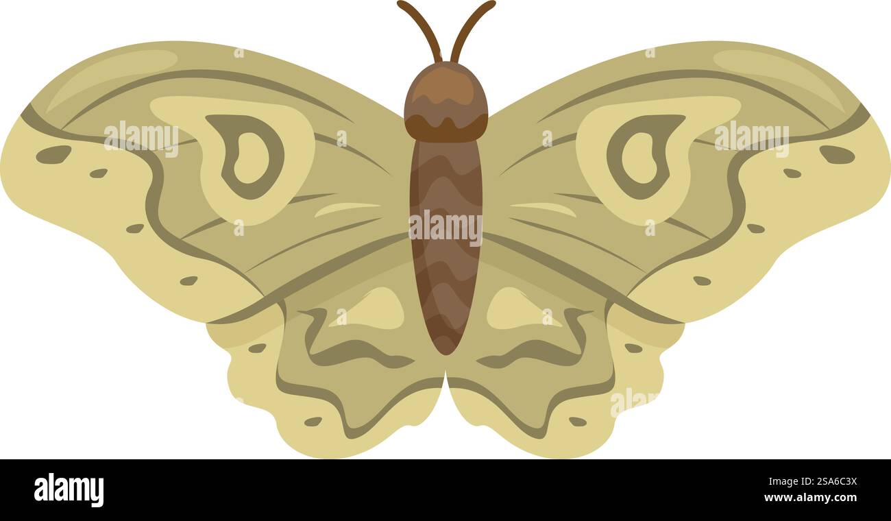 Beautiful giant silk moth is spreading its elegant wings on a white ...