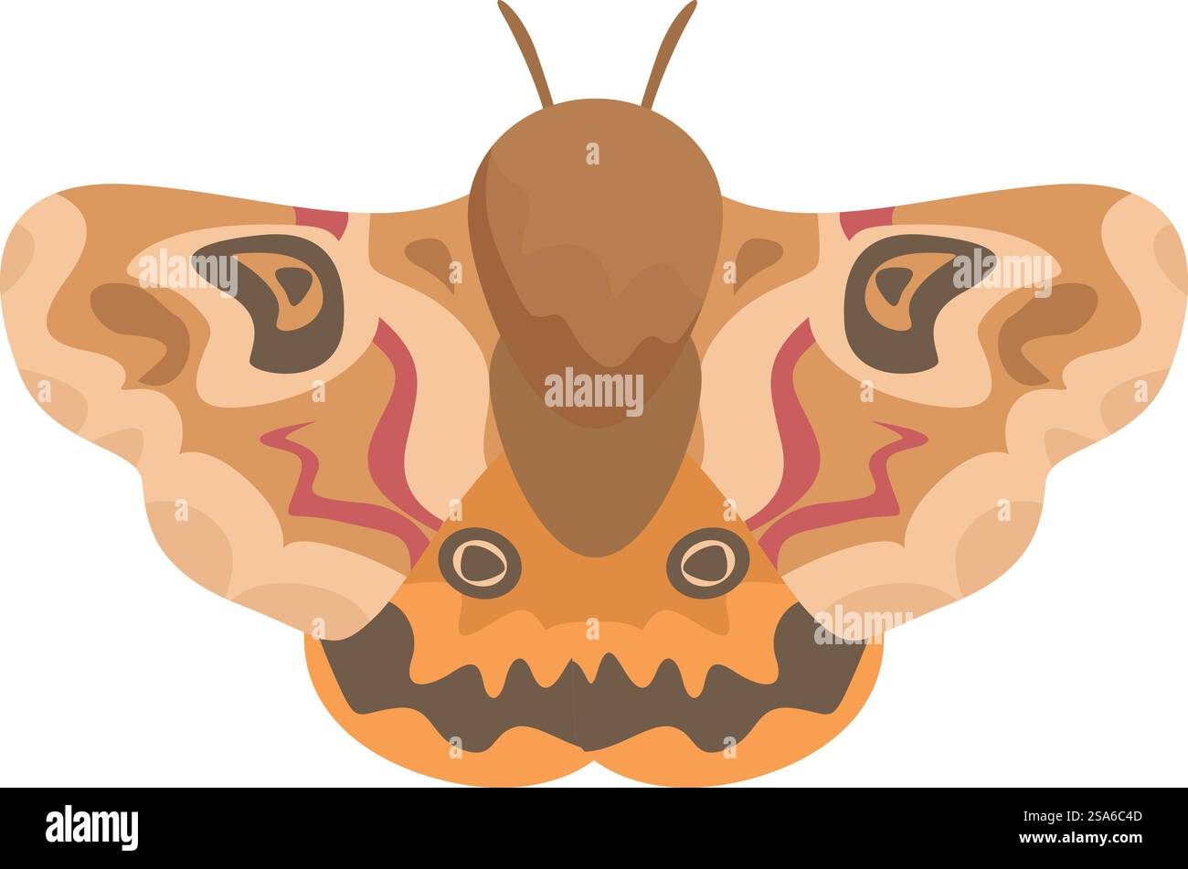 Giant leopard moth with its wings spread, showing the beautiful ...