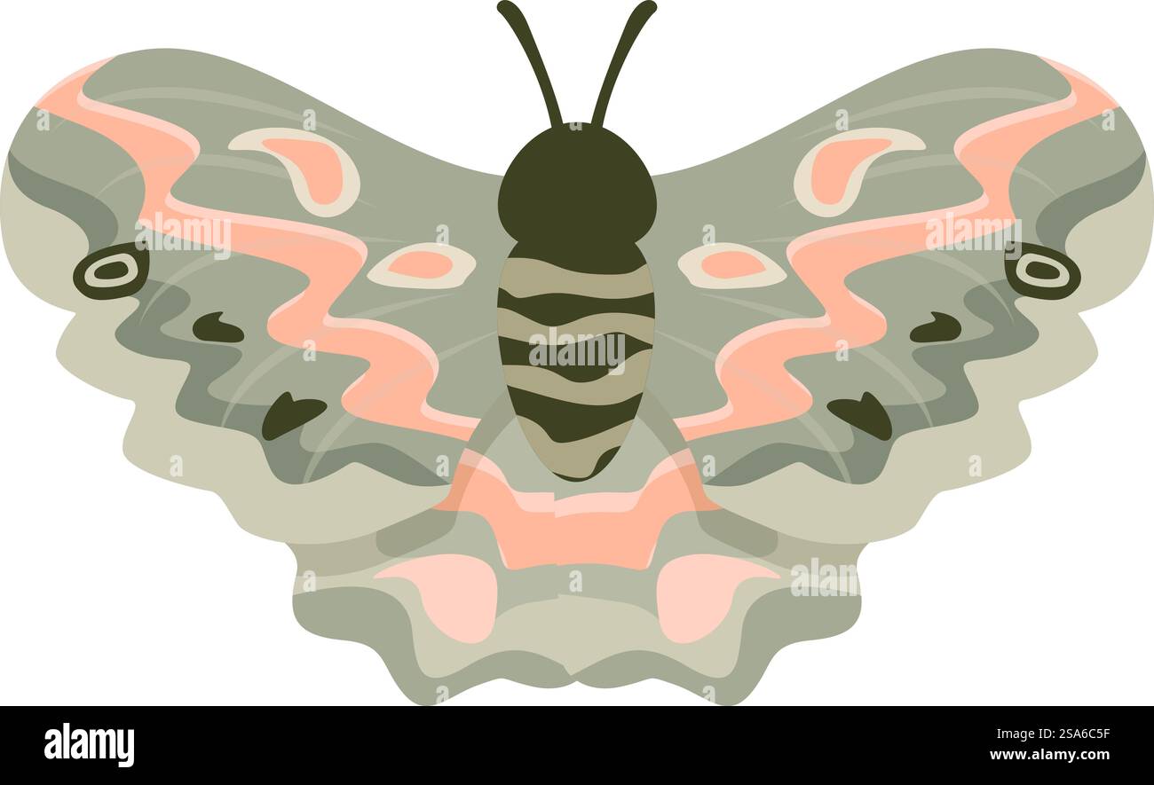 Insect metamorphosis macro Stock Vector Images - Alamy