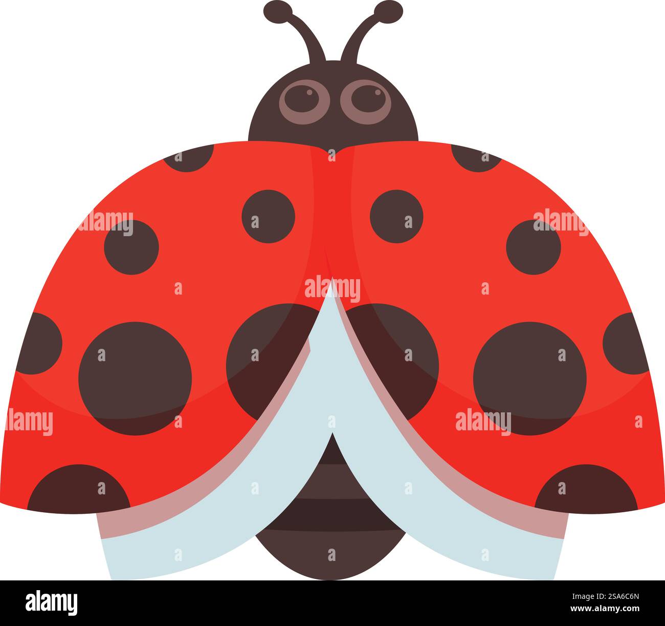 Cute ladybug opening its wings on white background. Cute ladybug is ...