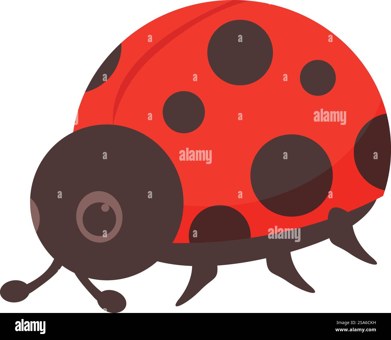 Red ladybug crawling with black spots on its back. Little red ladybug ...