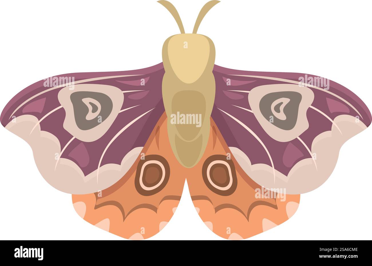 Colorful moth with orange and purple wings is spreading its wings ...