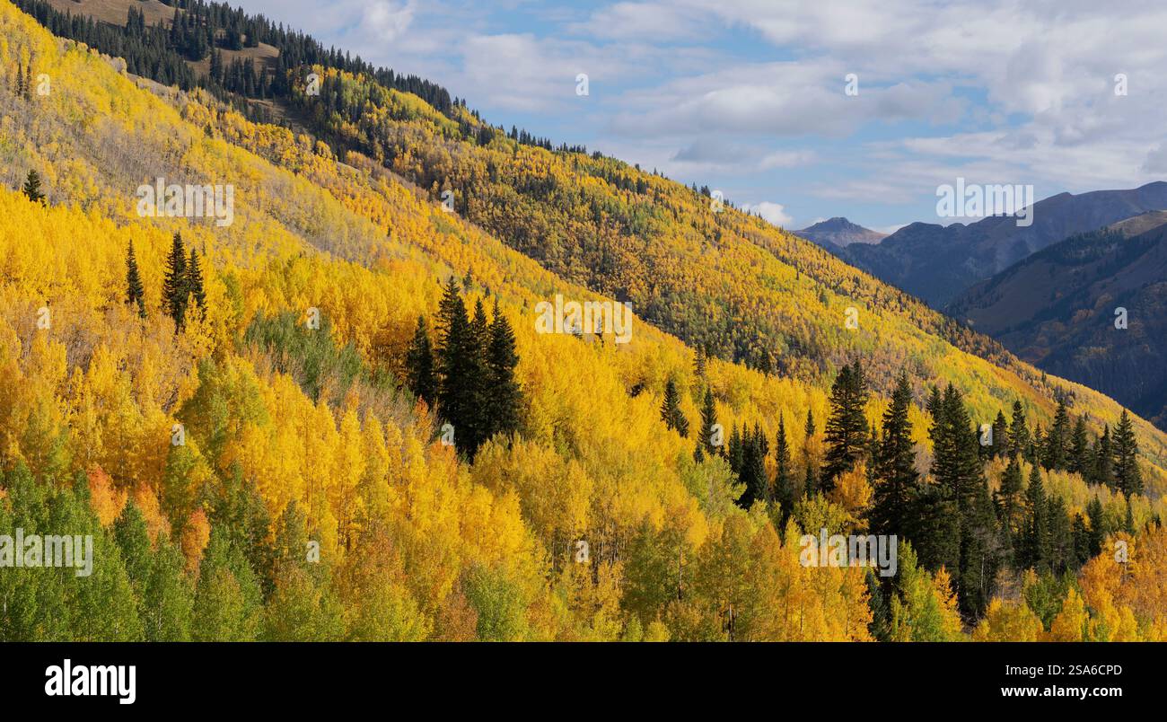 USA, Colorado, Uncompahgre National Forest. San Juan Mountains and ...