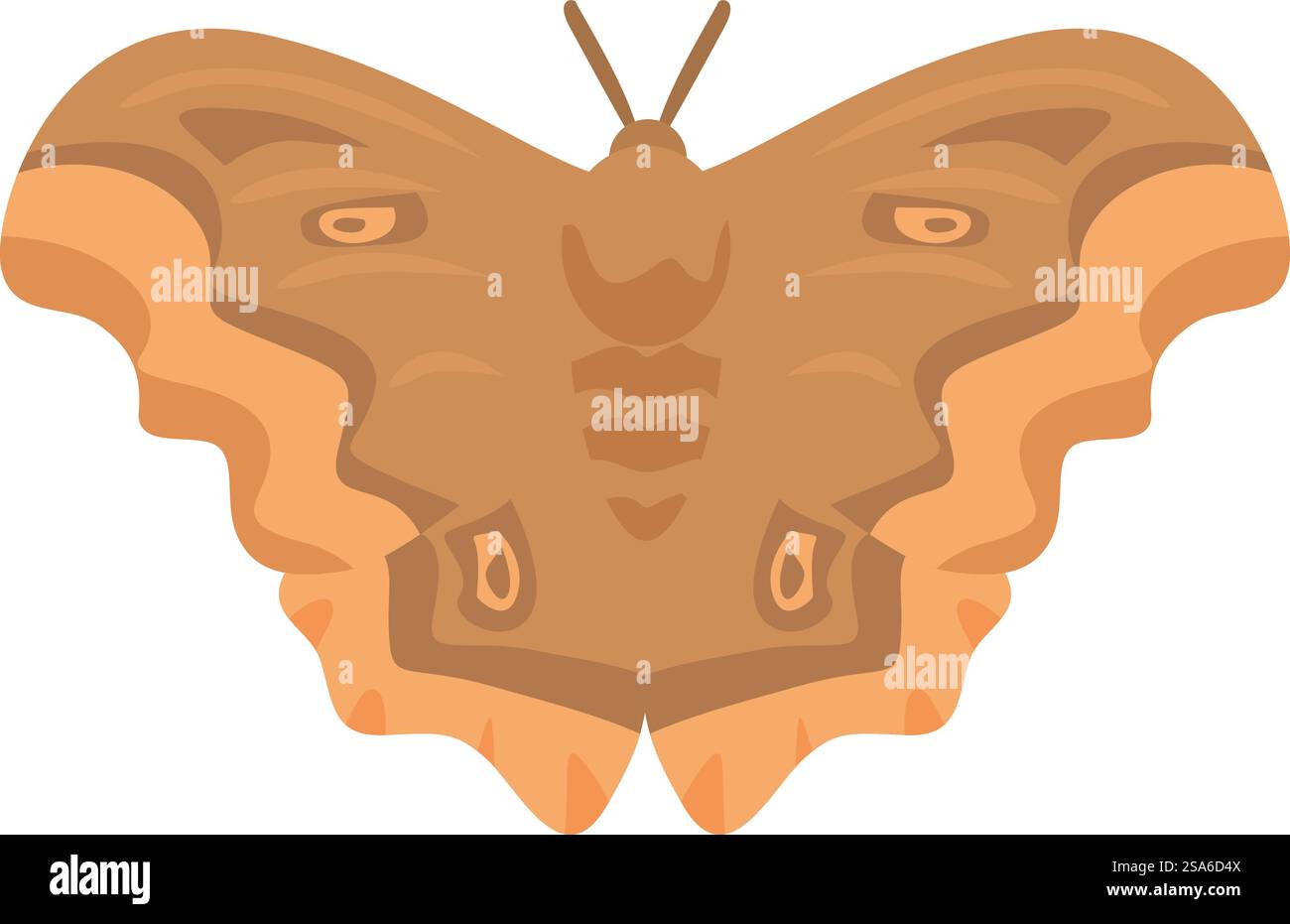 Brown butterfly with spread wings showing a beautiful symmetrical ...