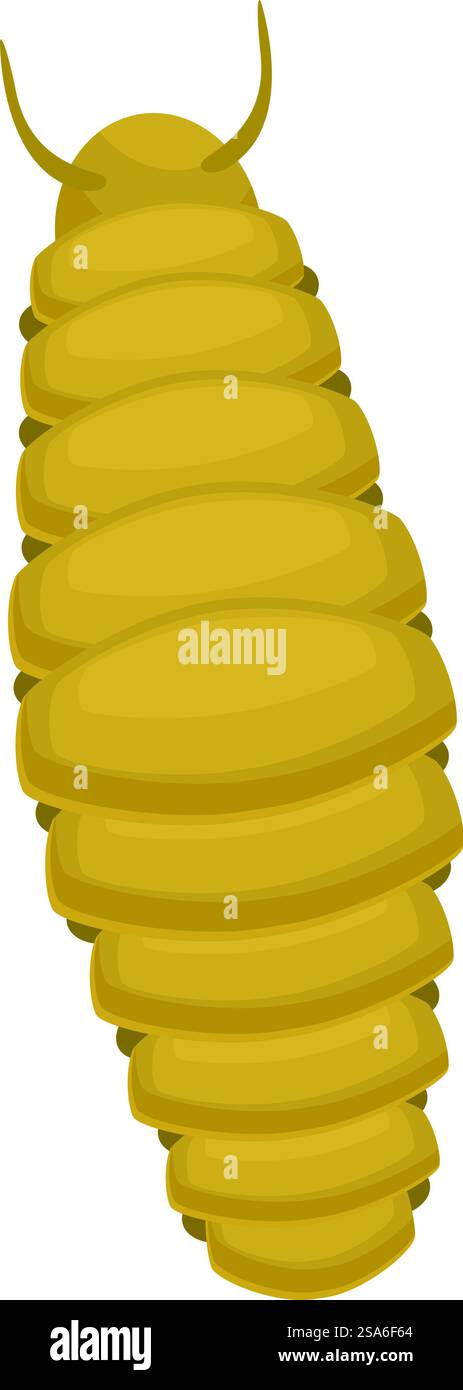 Wireworm larvae isolated on white background showing segmented body ...