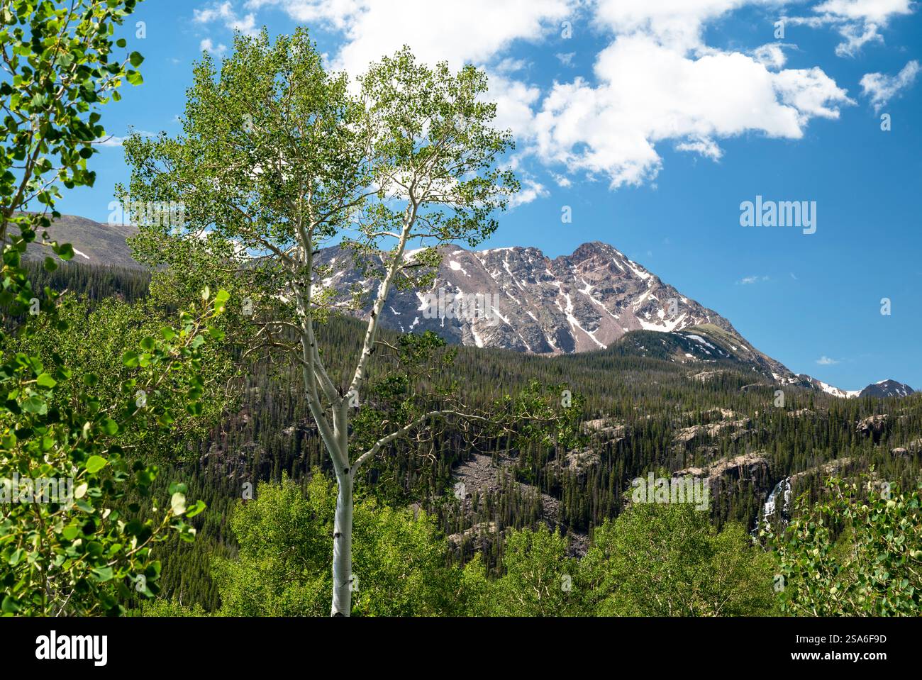 USA, Colorado. White River National Forest Stock Photo - Alamy