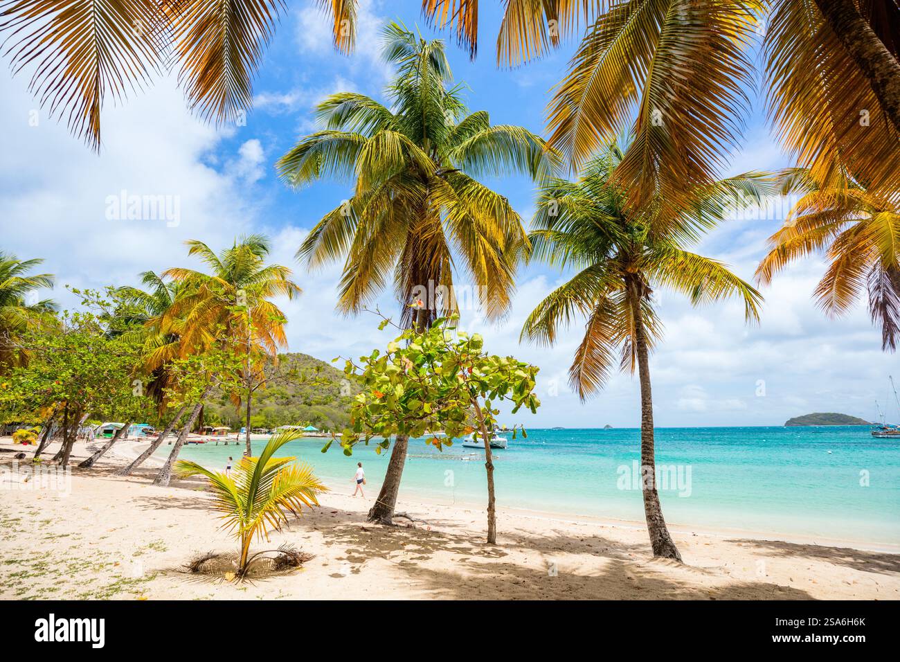 Idyllic tropical beach with white sand, palm trees and turquoise ...