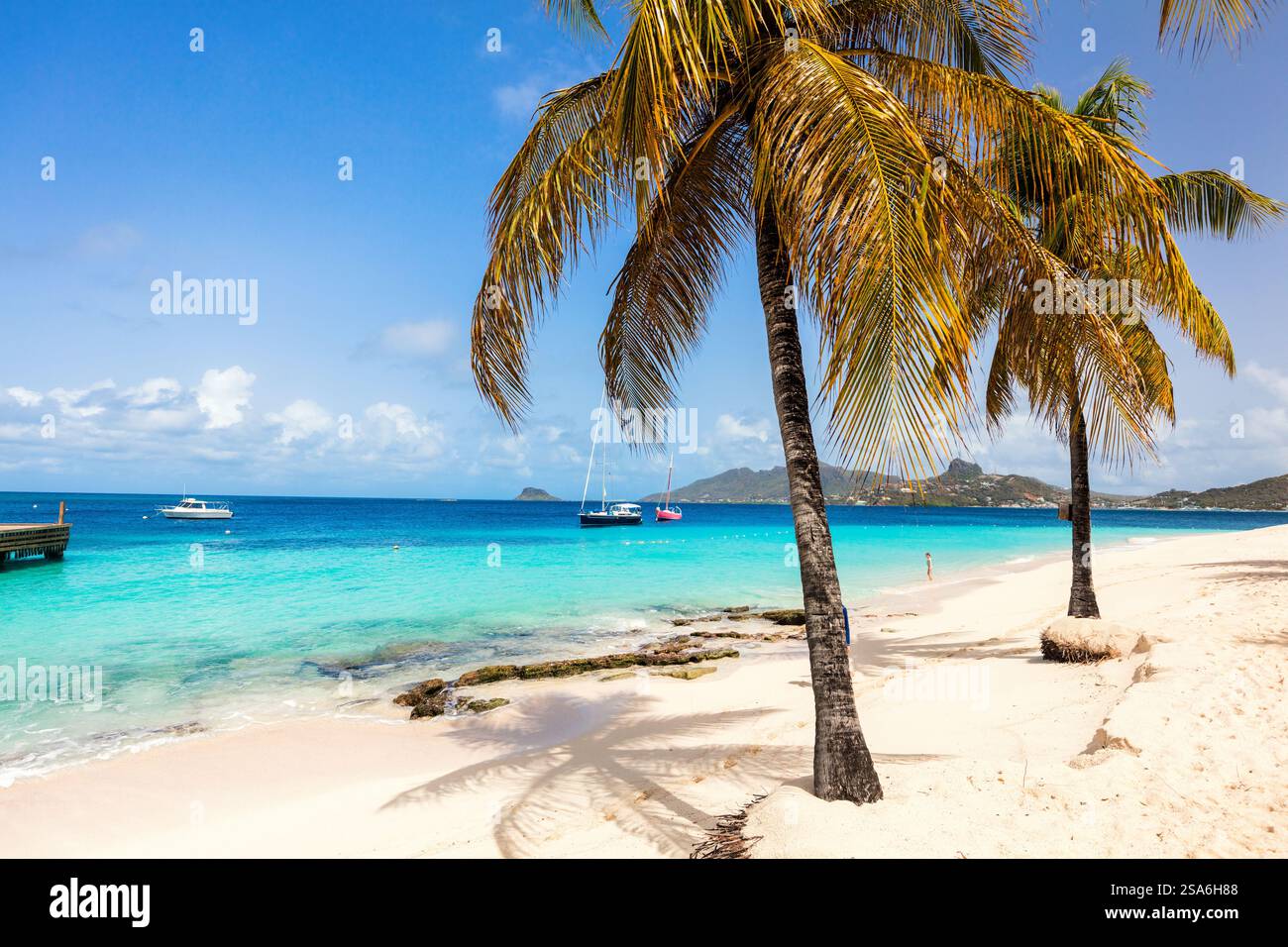 Idyllic tropical beach with white sand, palm trees and turquoise ...