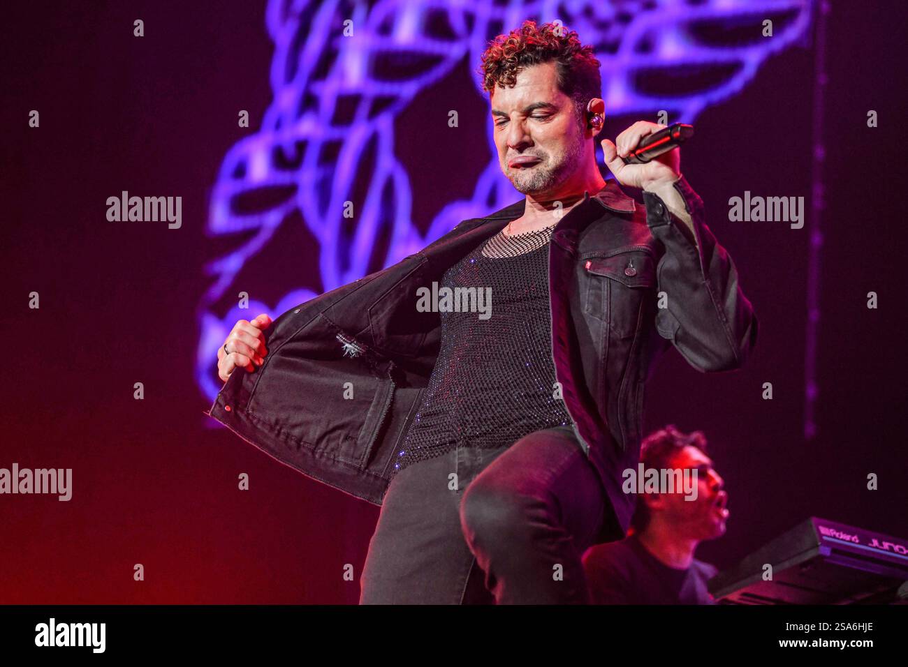 David Bisbal celebrates his carreer 20th Anniversary with a concert at ...
