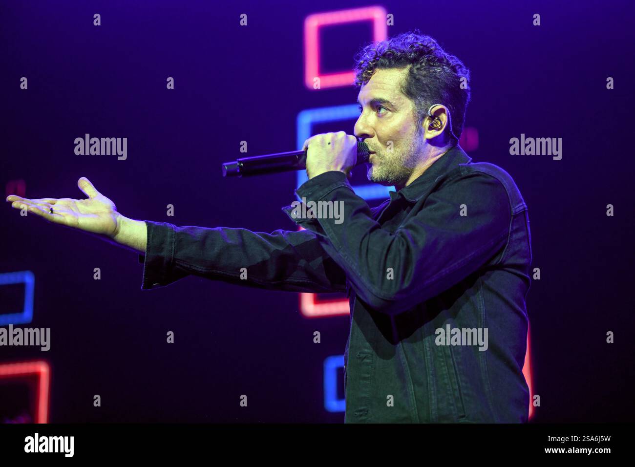 David Bisbal celebrates his carreer 20th Anniversary with a concert at ...