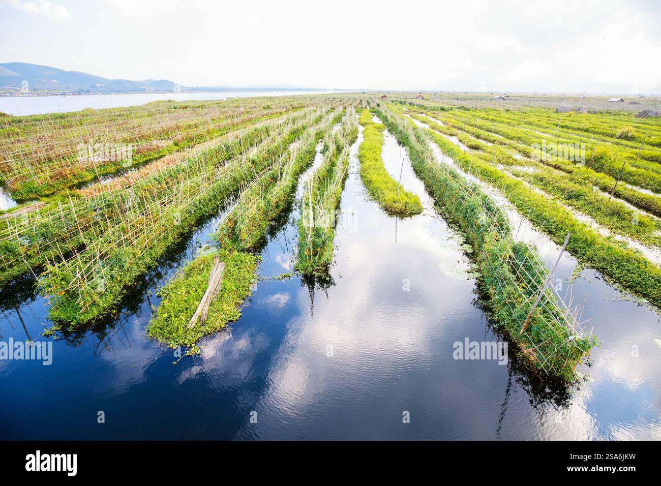 Landscape view of floating gardens on Inle lake in Myanmar Stock Photo ...