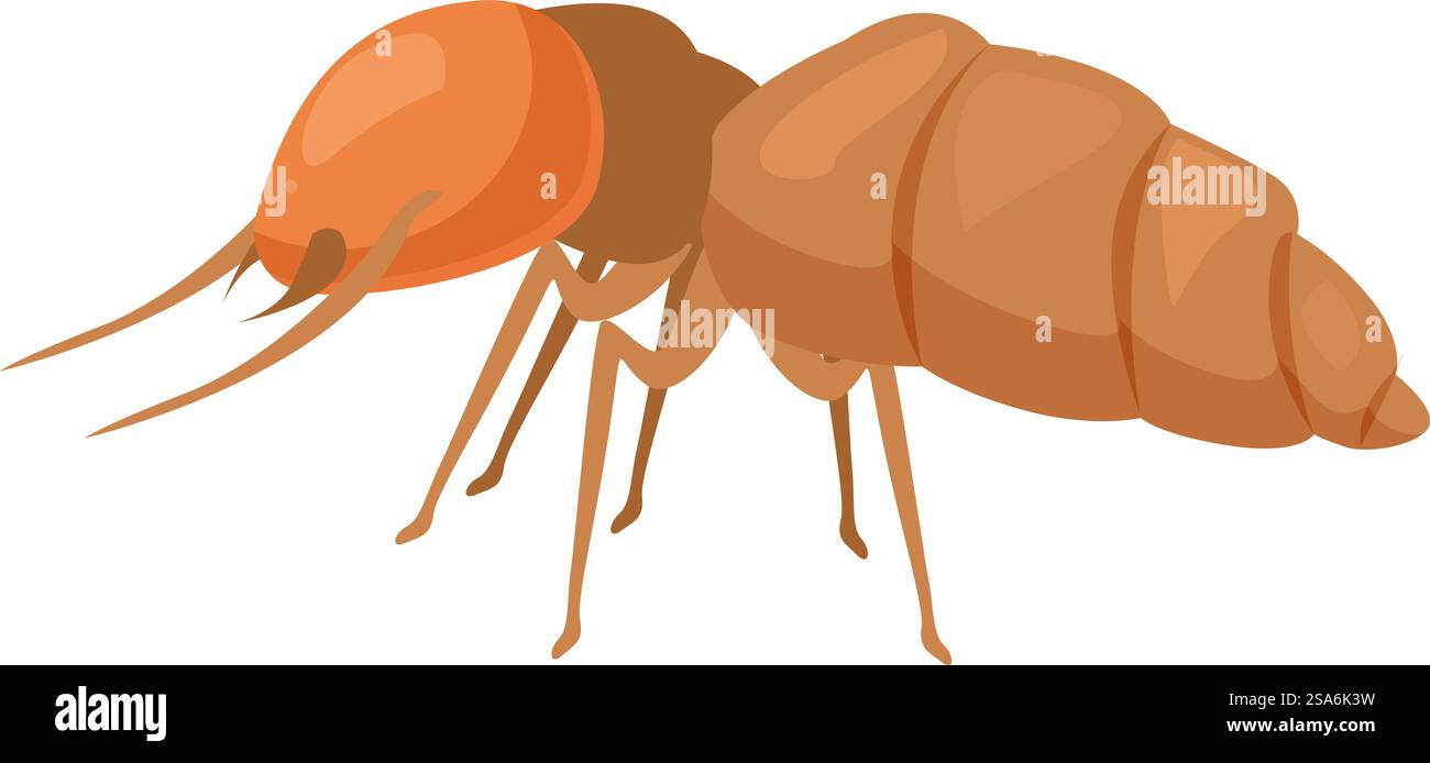 Termite is walking and searching for food to bring back to the colony ...