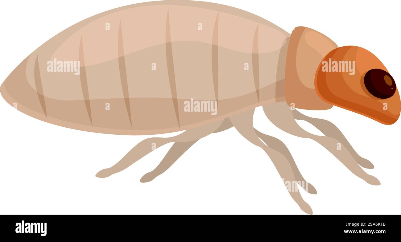 Bark beetle walking side view, pest control and extermination service ...