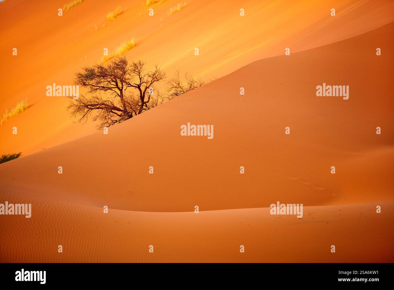Close up of beautiful red sand dune in Sossusvlei in Namibia Stock ...