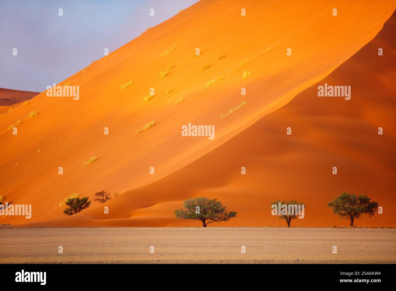 Beautiful red sand dunes in Sossusvlei in Namibia Stock Photo - Alamy