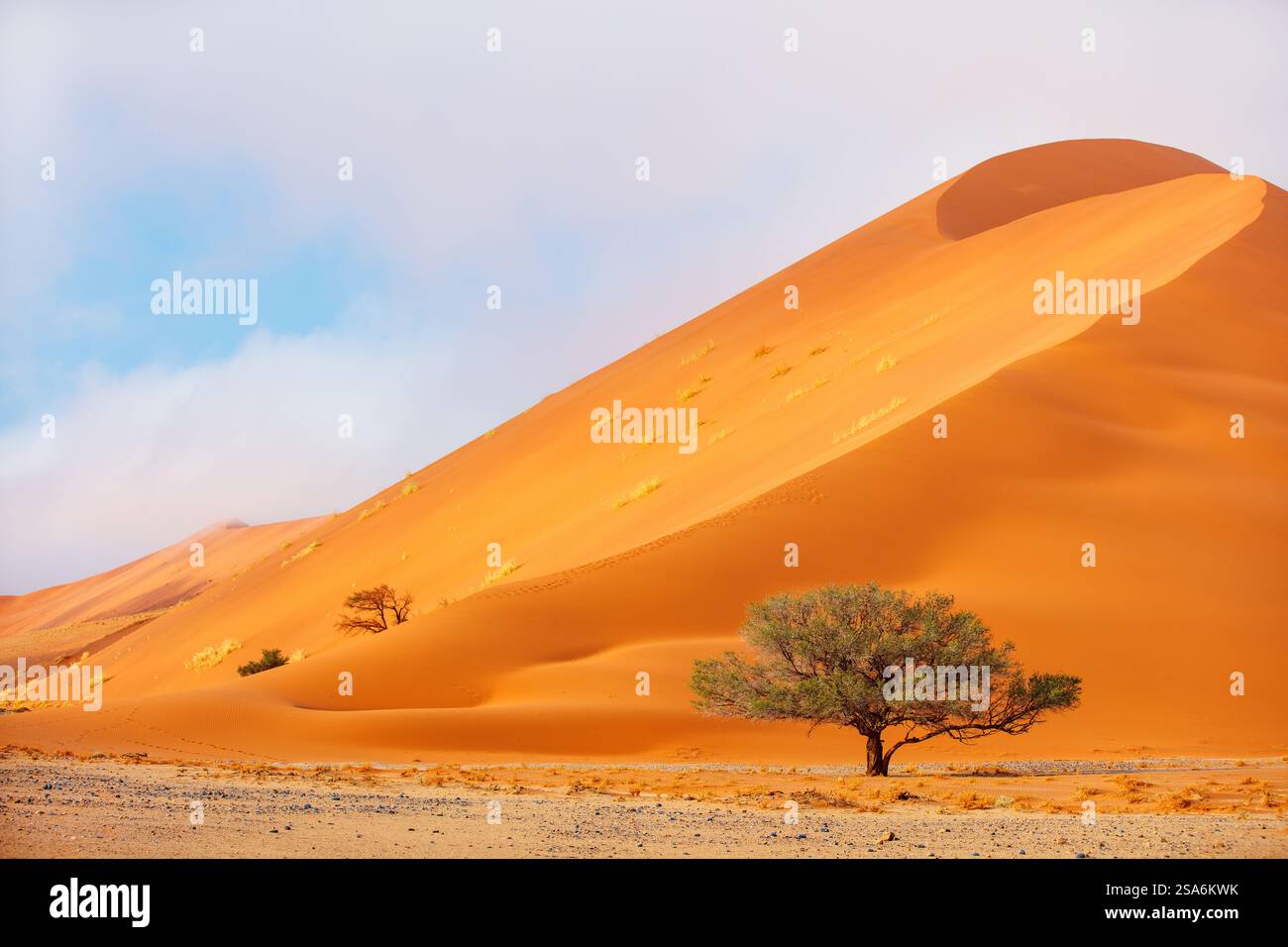 Beautiful red sand dunes in Sossusvlei in Namibia Stock Photo - Alamy