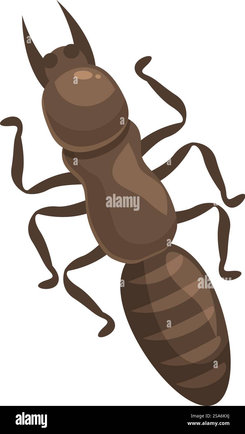 Brown termite insect pest crawling isolated on white background ...