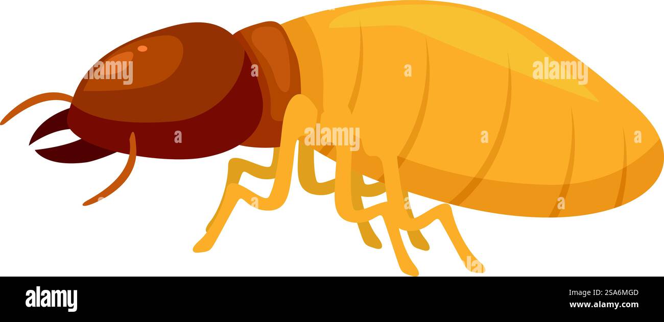 Termite walking side view showing head thorax and abdomen. Cartoon ...