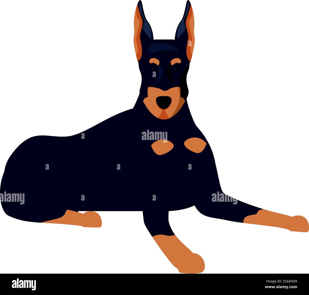 Black and tan doberman pinscher lying down with its front paws ...