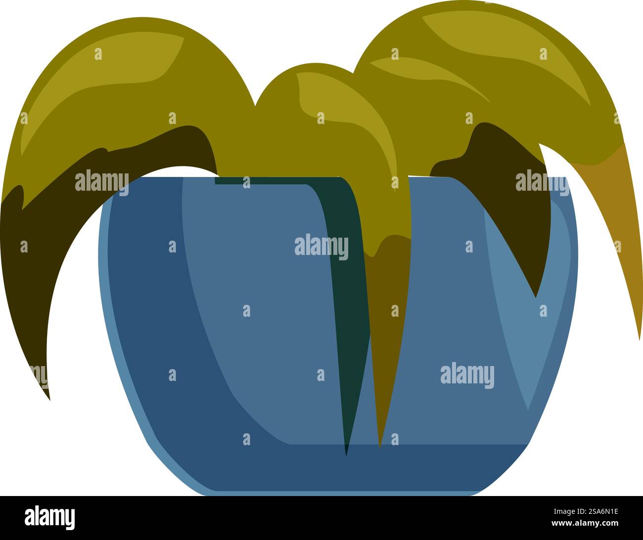 Home plant with long leaves growing in a pot. Home plant growing in pot ...