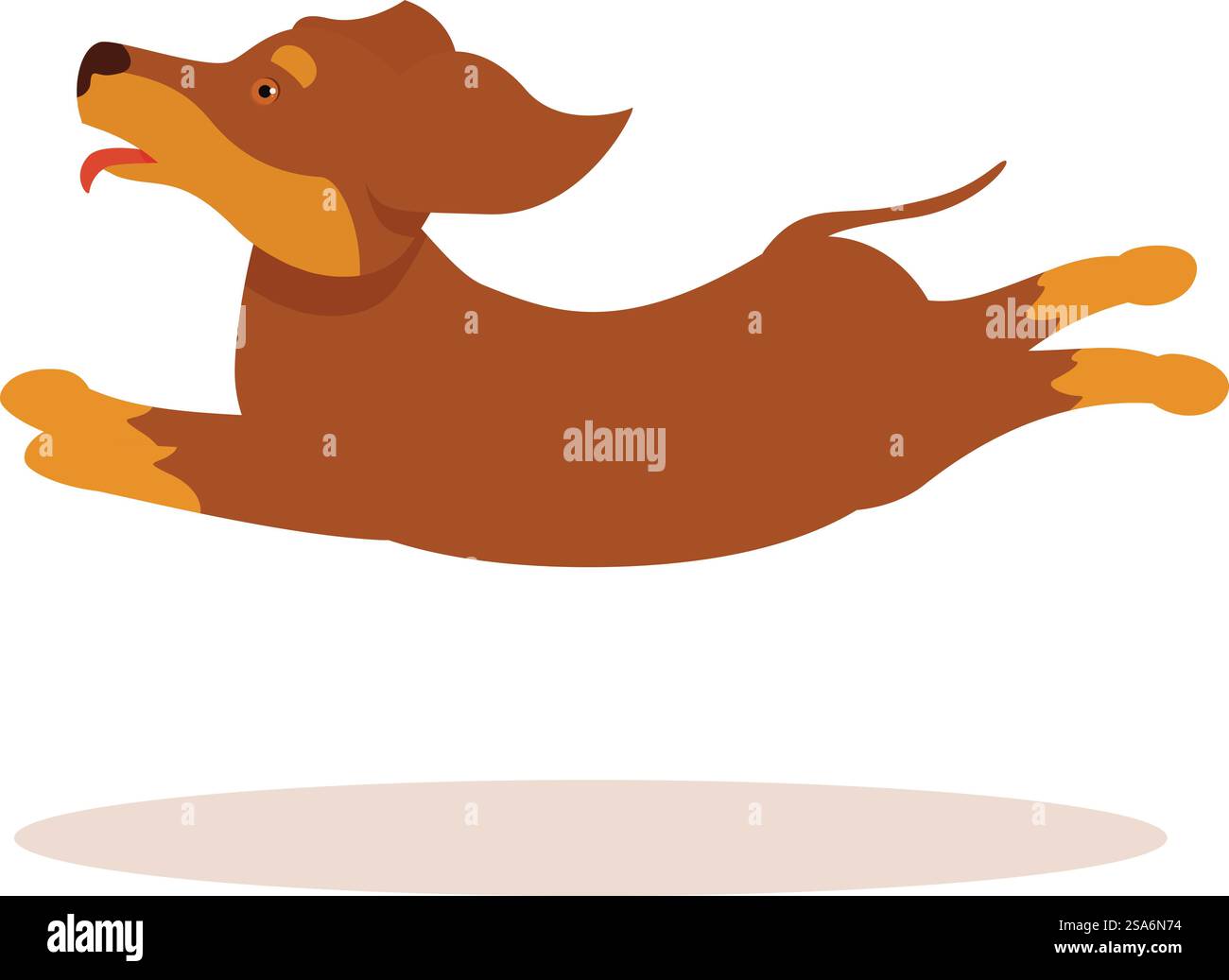 Happy brown dachshund jumping and running with tongue out Stock Vector ...
