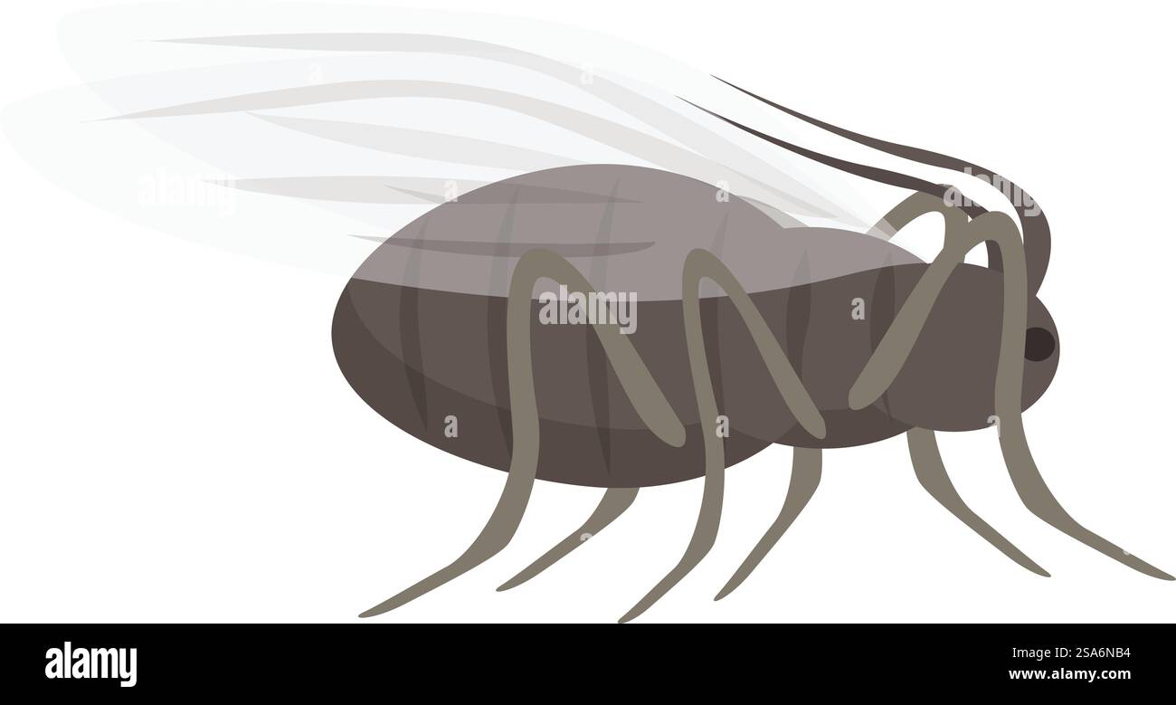 Black stem aphid Stock Vector Images - Alamy