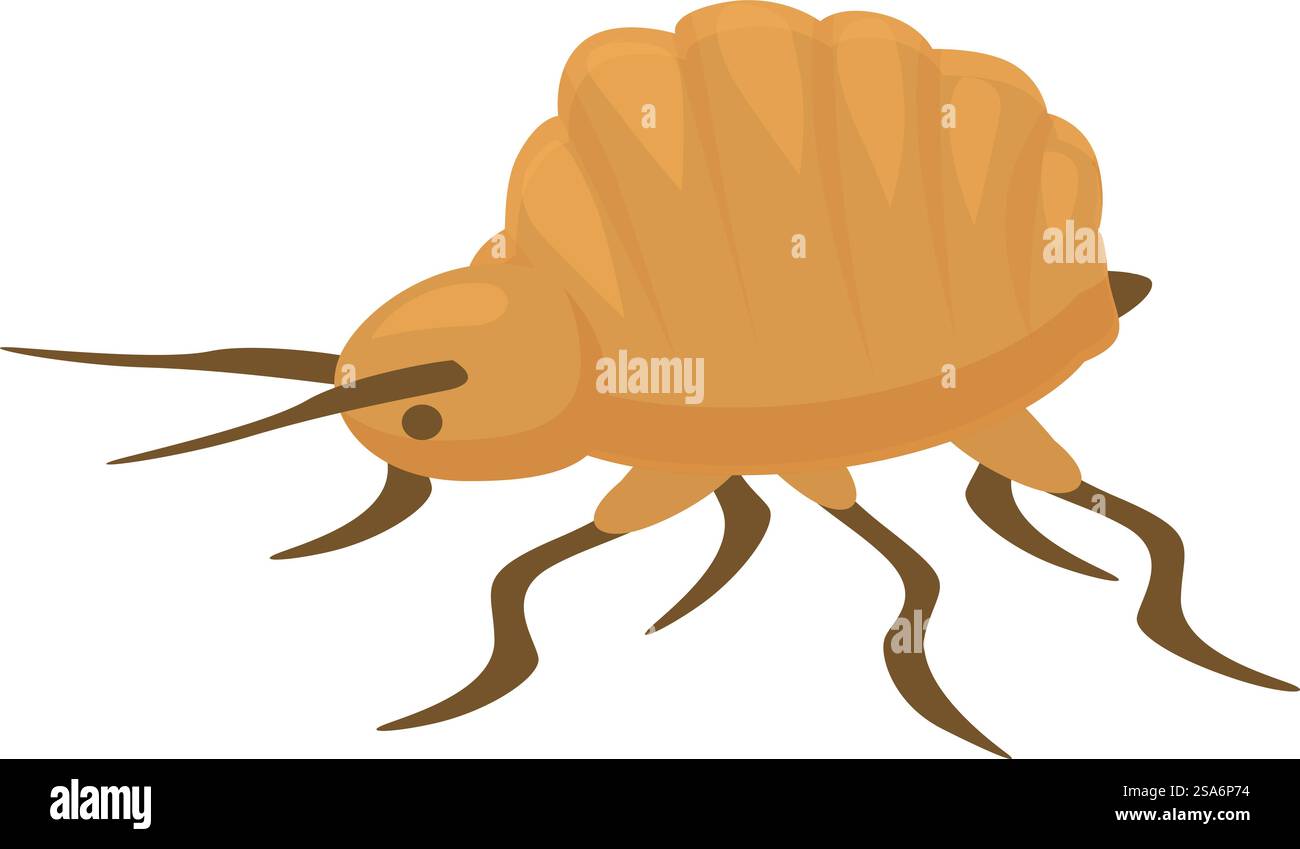 Flea insect crawling with its little legs. Flea insect is crawling on ...