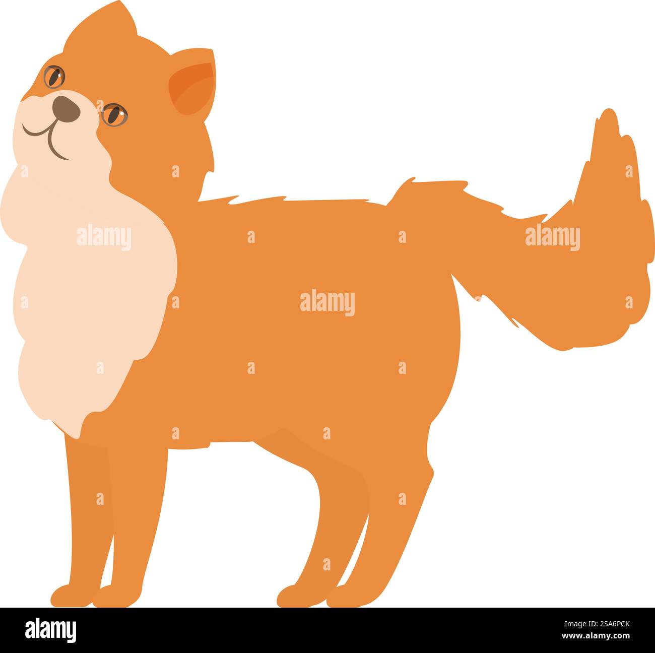 Ginger cat with a fluffy tail is standing and looking up curiously ...