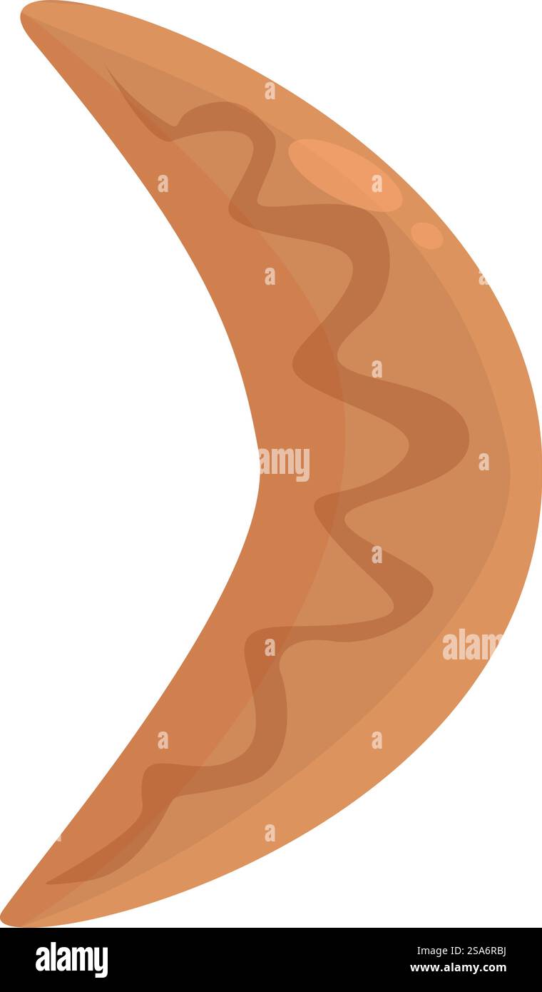 Boomerang with ethnic pattern spinning and flying in air. Traditional ...