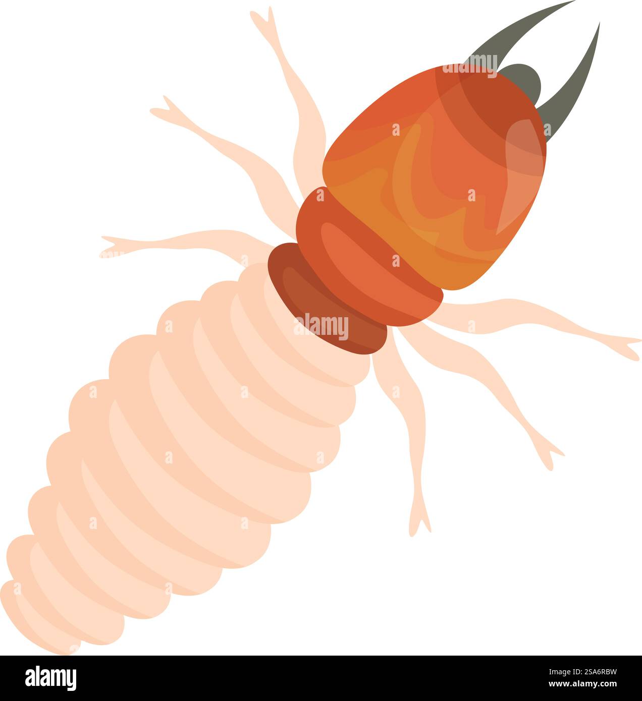 Dangerous termite insect is crawling in this illustration. Dangerous ...