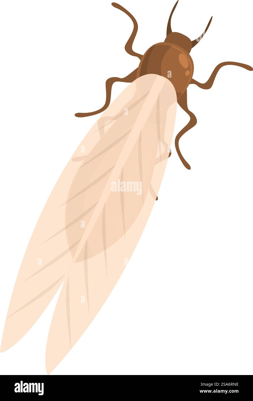 Brown termite insect spreading its delicate wings, ready for flight ...
