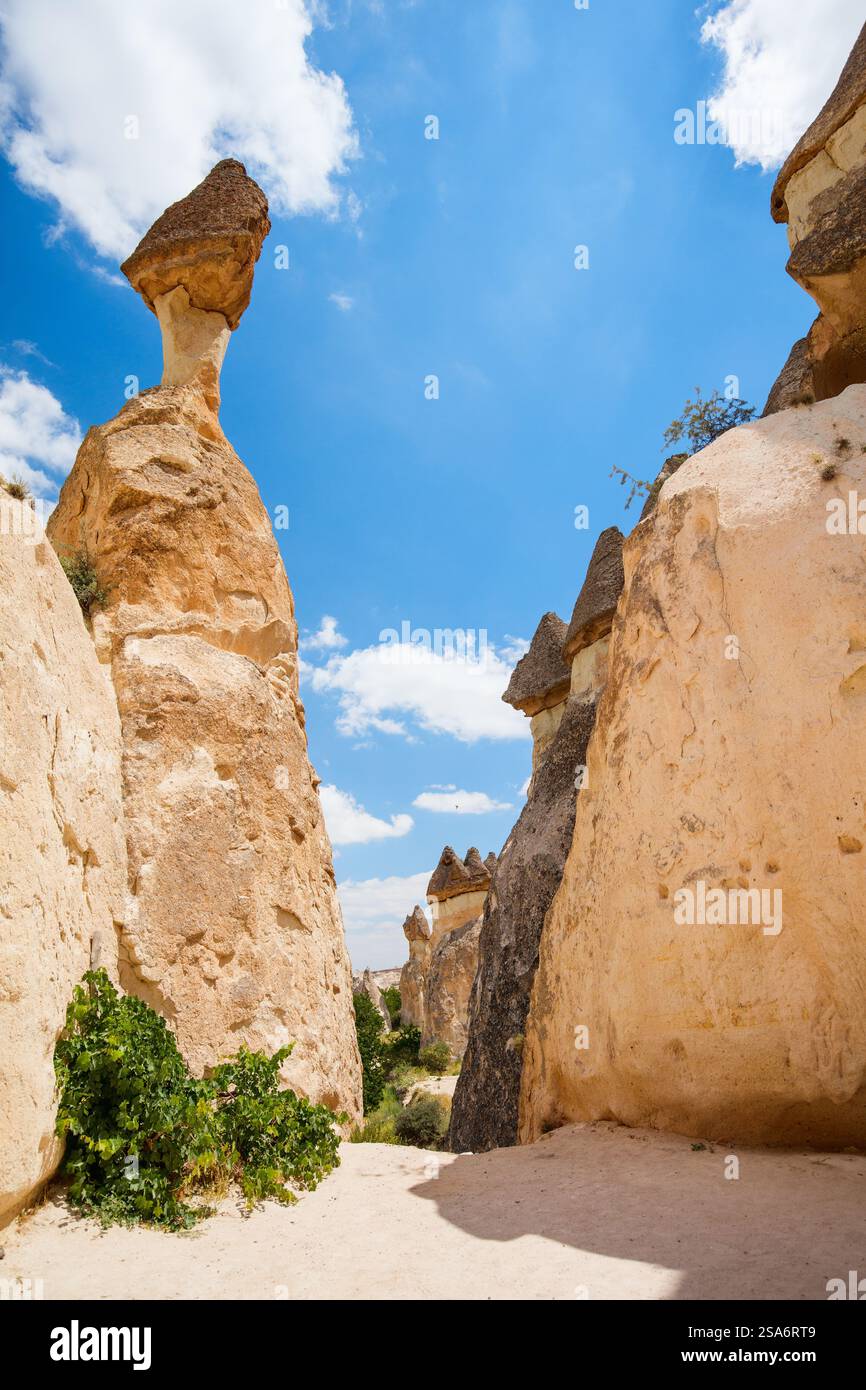 Pasabag Monks valley in Cappadocia Turkey with unique rock formations ...