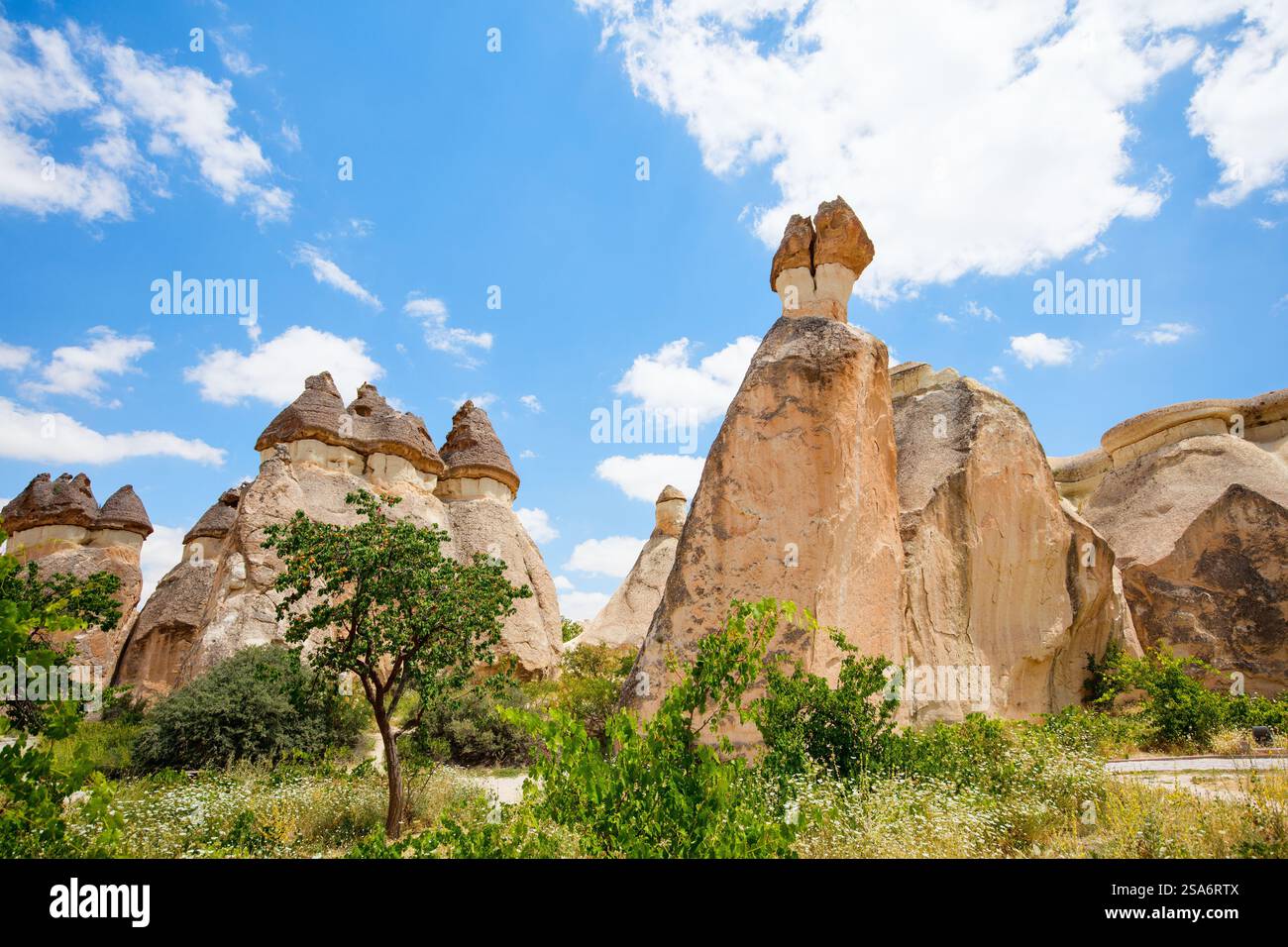 Pasabag Monks valley in Cappadocia Turkey with unique rock formations ...