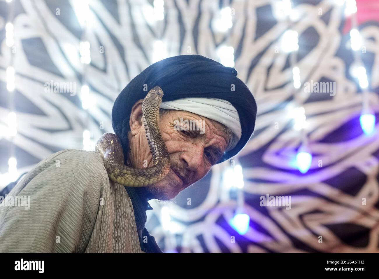 An Egyptian Sufi man performs devotional dance with a snake known as ...