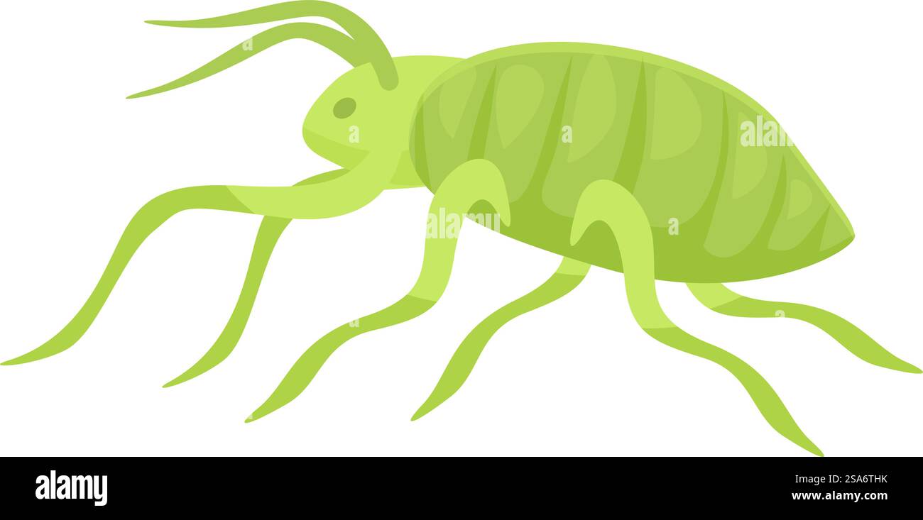 Green louse insect is crawling on a white background. Green louse ...
