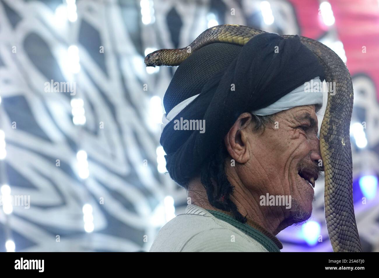 An Egyptian Sufi man performs devotional dance with a snake known as ...