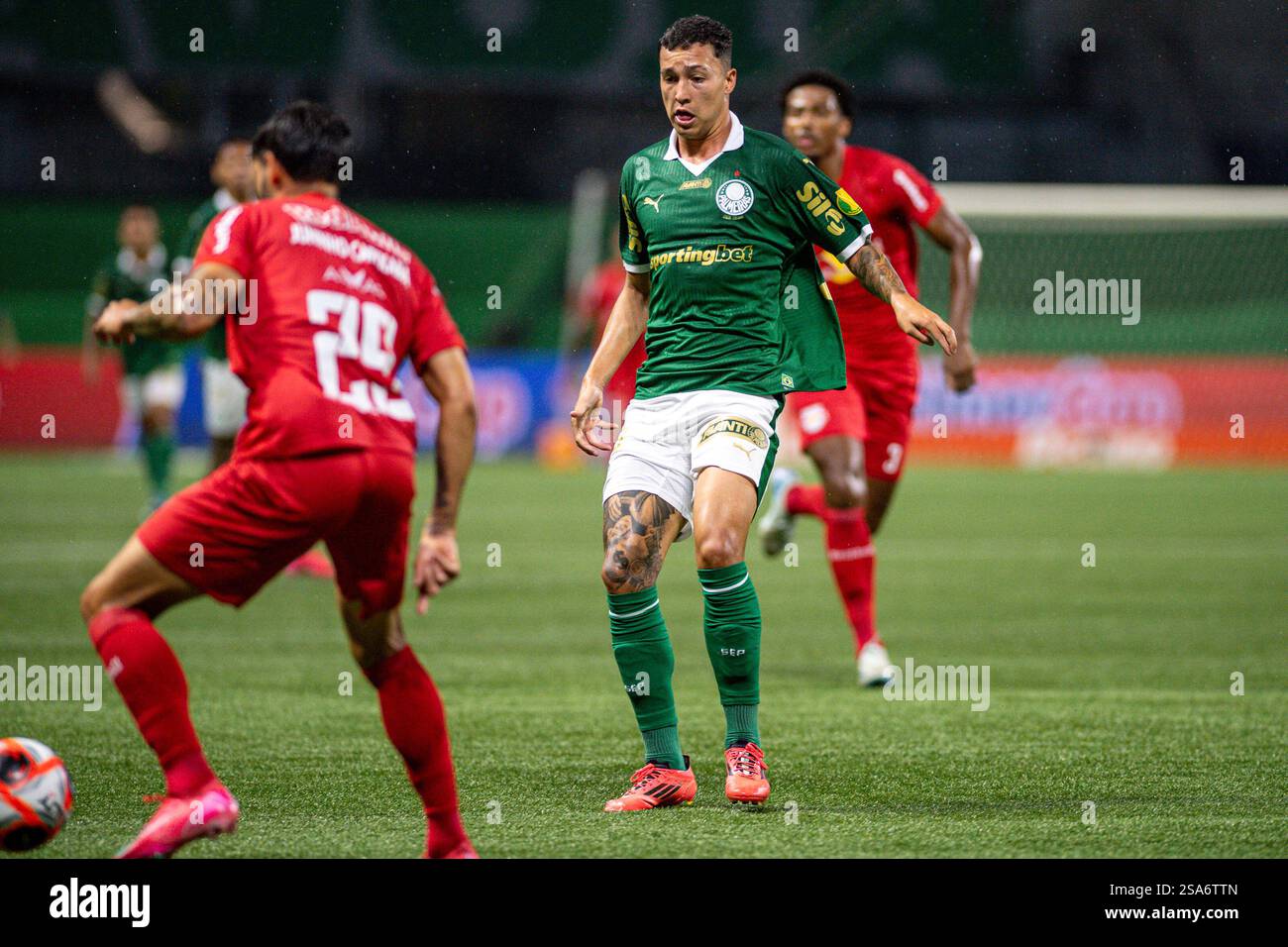Sao Paulo, Brazil. 28th Jan, 2025. Thalys of Palmeiras during the ...