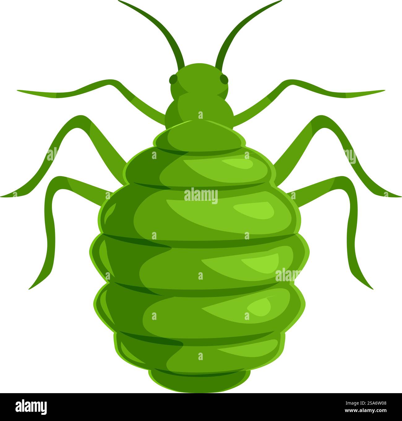 Green aphid bug with segmented body and long legs crawling on a white ...