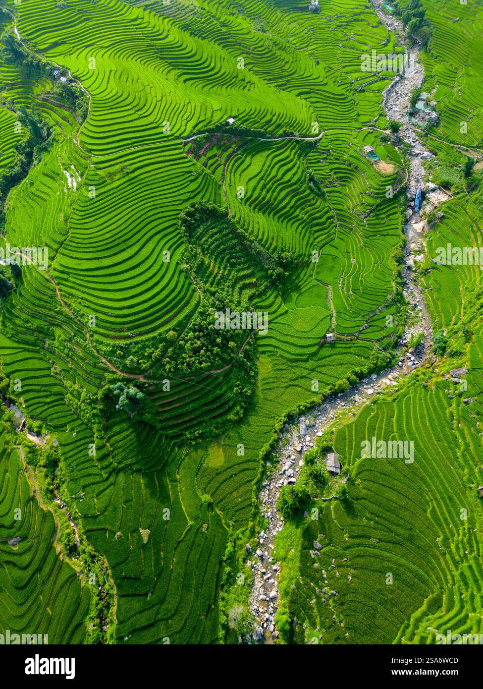 Stunning scenery of rice terraces in northern Vietnam Stock Photo - Alamy