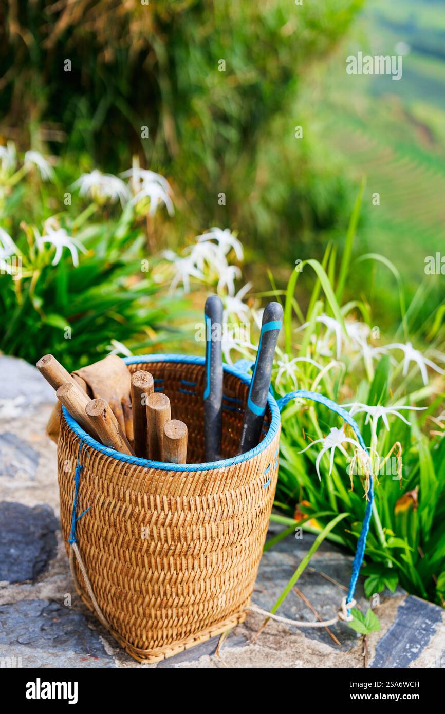 Garden tools in Vietnamese bamboo basket Stock Photo - Alamy