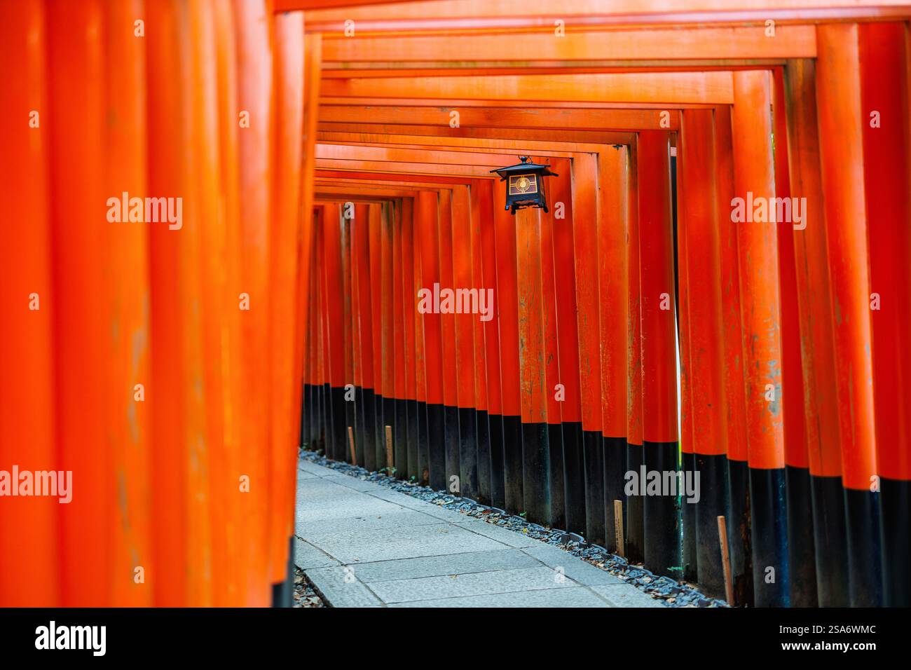 Red Torii gates in Fushimi Inari shrine in Kyoto Japan Stock Photo - Alamy